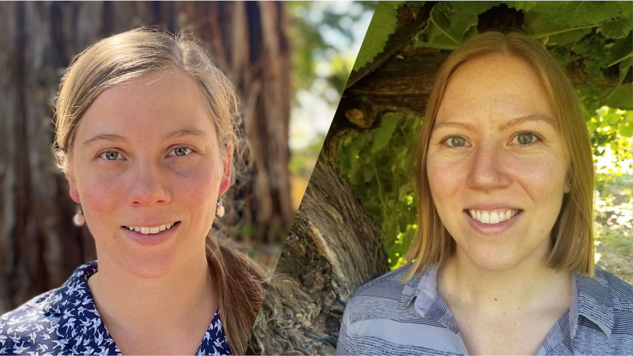 Two UC Davis graduate students named Borlaug Scholars | Department of ...