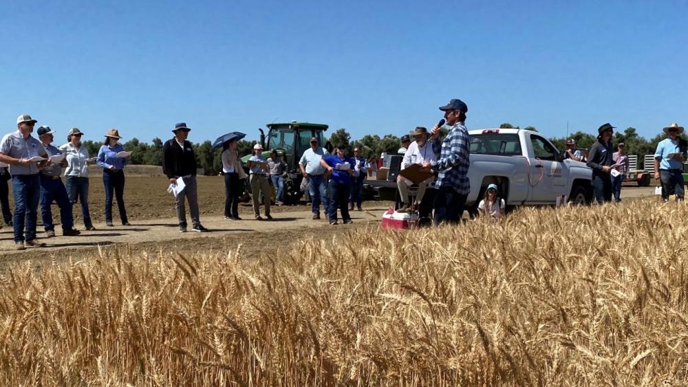 UC Davis, Department of Plant Sciences